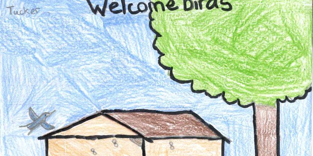 Children Welcome Birds Back Home In The Sweetest Way - The Dodo
