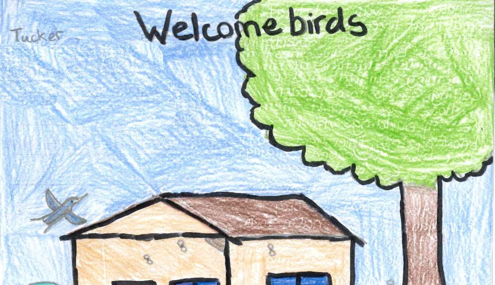 Children Welcome Birds Back Home In The Sweetest Way - The Dodo