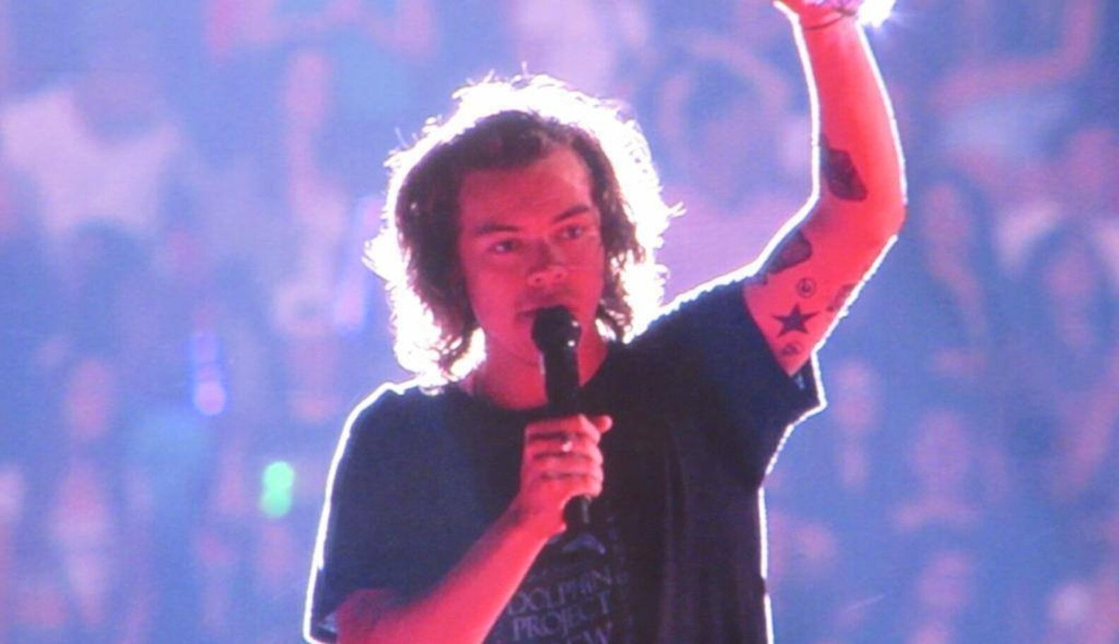 Harry Styles: 'Don't Go To SeaWorld' - The Dodo