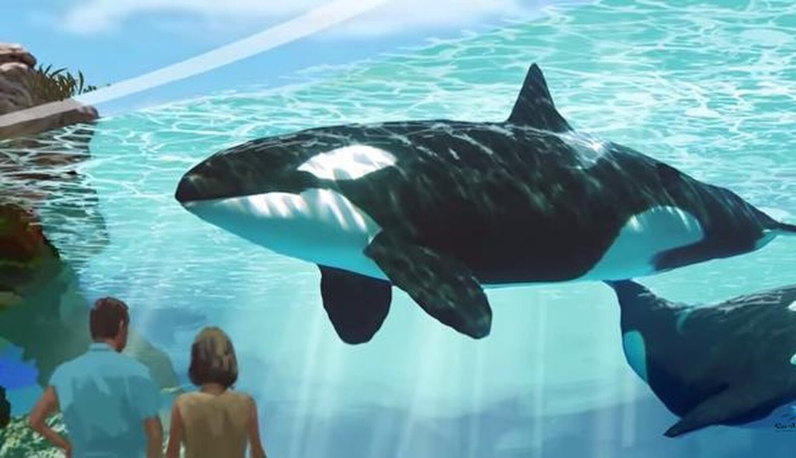 SeaWorld's Latest Promise To Its Orcas Is 'A Joke' - The Dodo