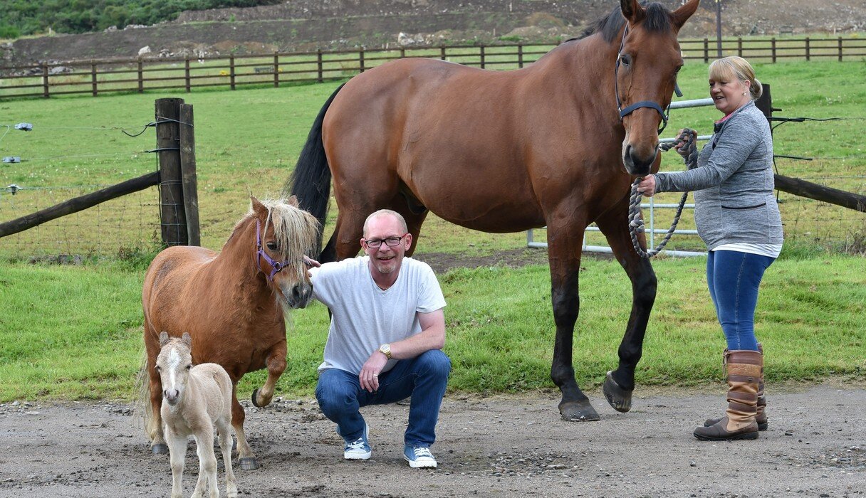 Miniature Pony Surprises Everyone With The Tiniest Little Bundle - The Dodo