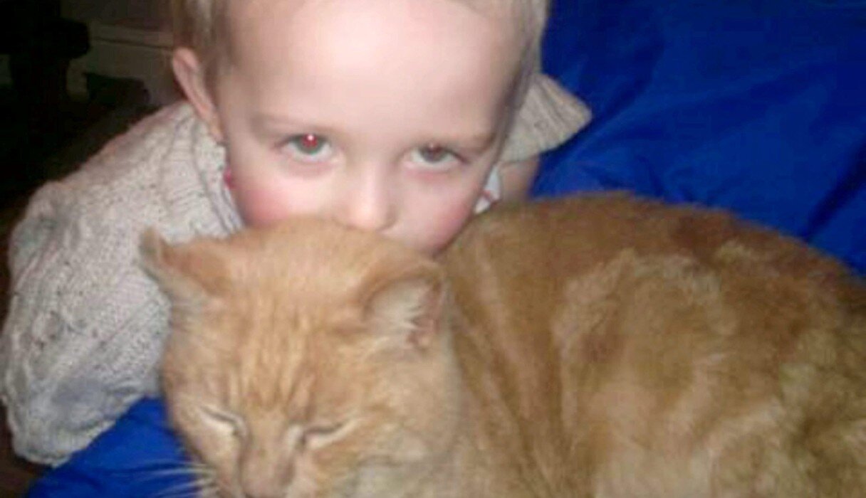 Little Boy Can't Even Believe He's Found His Lost Cat - The Dodo