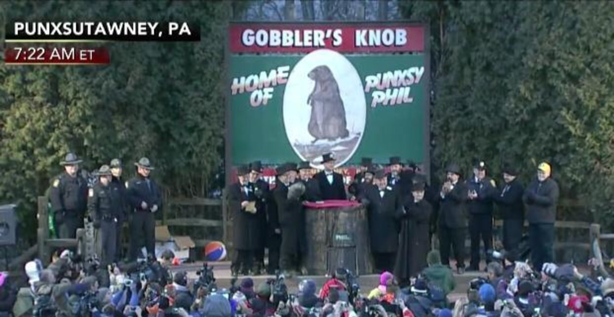 Confused Groundhog Endures Annual Ceremony With Men In Top Hats - The Dodo