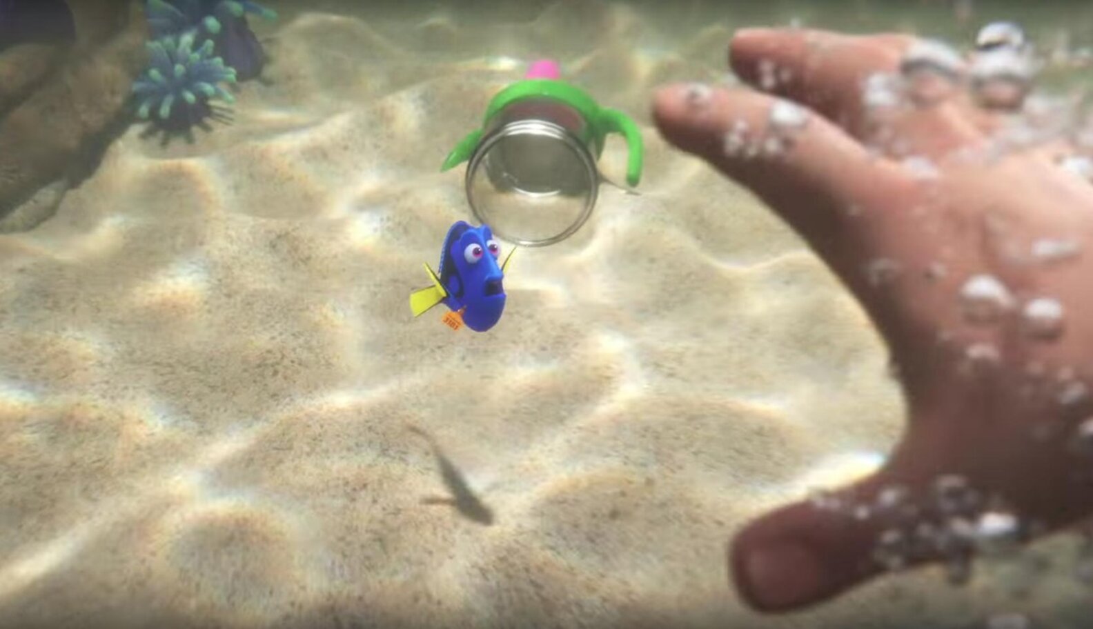 New 'Finding Dory' Trailer Sends Bold Anti-Captivity Message - The Dodo