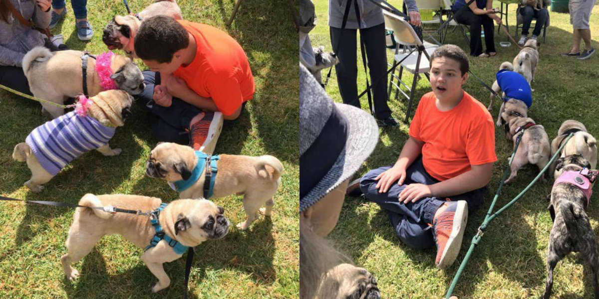Boy With Autism Has A Pug Birthday Party - The Dodo