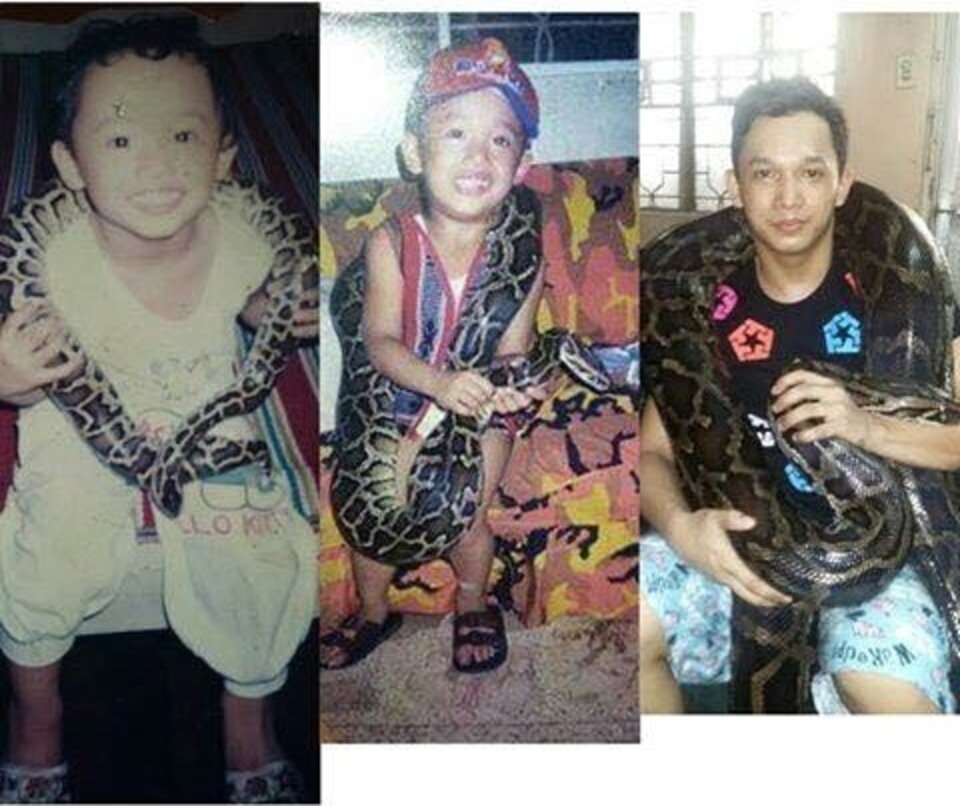Photos Show A Boy And His Snake Growing Up Together - The Dodo