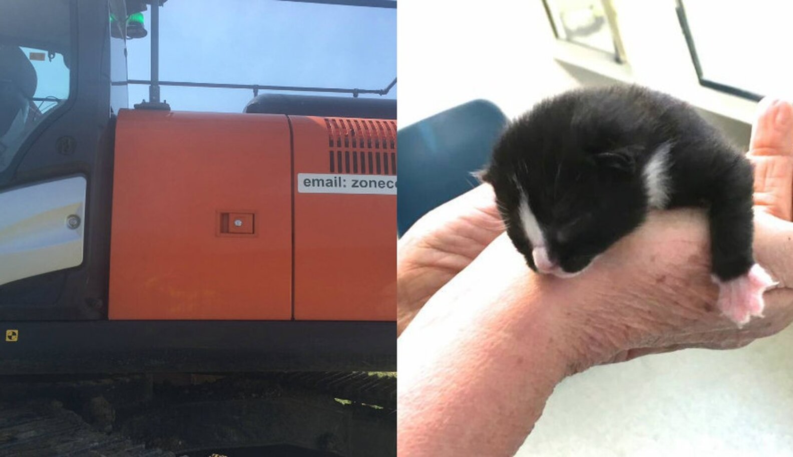 Tiny Kitten Accidentally Travels 80 Miles Trapped In A Machine - The Dodo