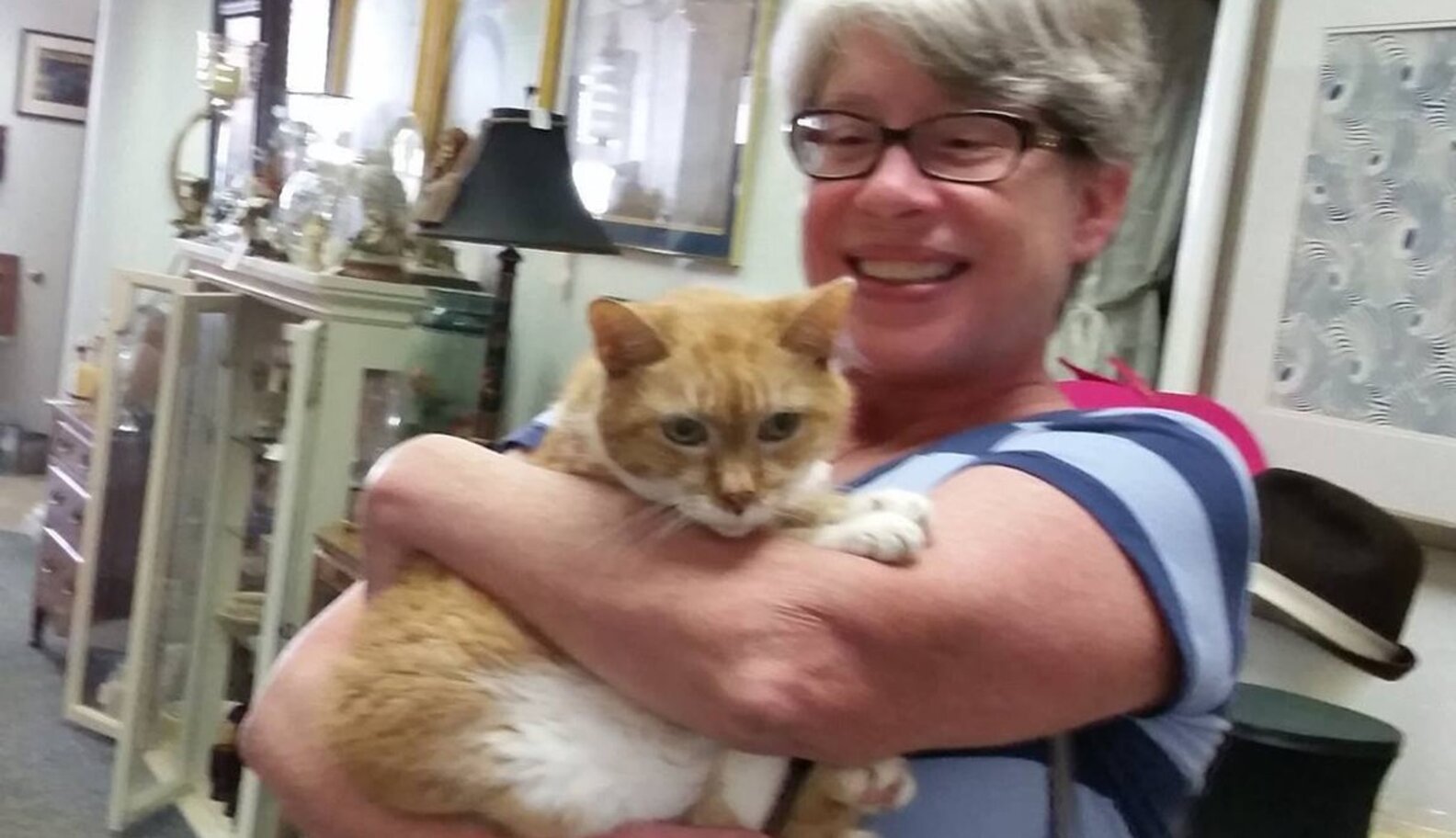 25-Year-Old Cat Finds Perfect New Home - The Dodo