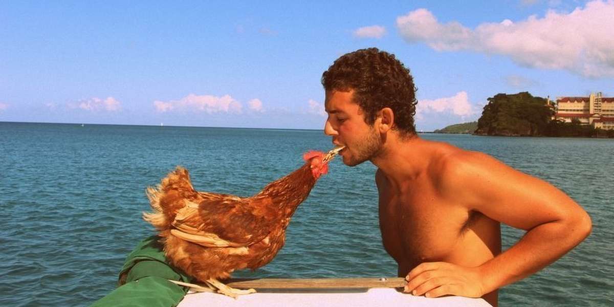 Chicken Sails Around The World With Her Hot Dad - The Dodo