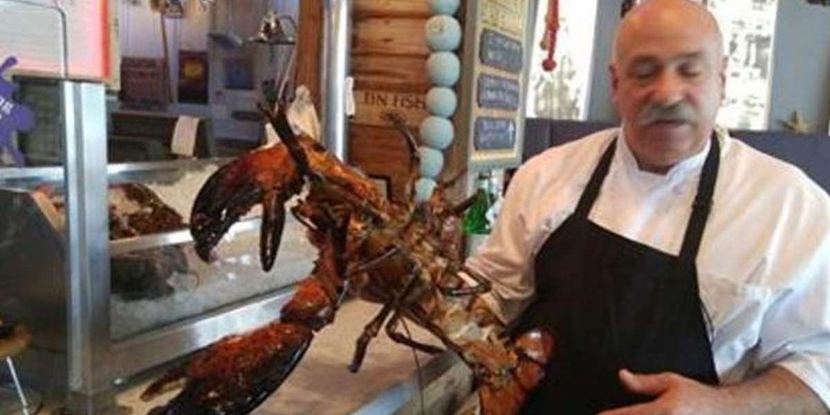 Chef Saves 100-Year-Old Lobster Moments Before Dinner - The Dodo