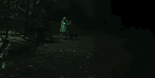 Injured Dog Climbs Mountain To Find Someone Who Can Save Him - The Dodo