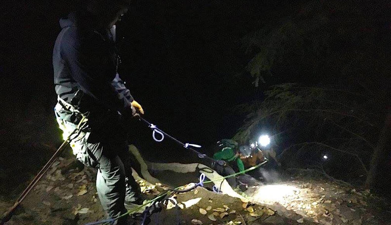 Dog Who Fell Off A Cliff Reunites With Her Tearful Owner - The Dodo