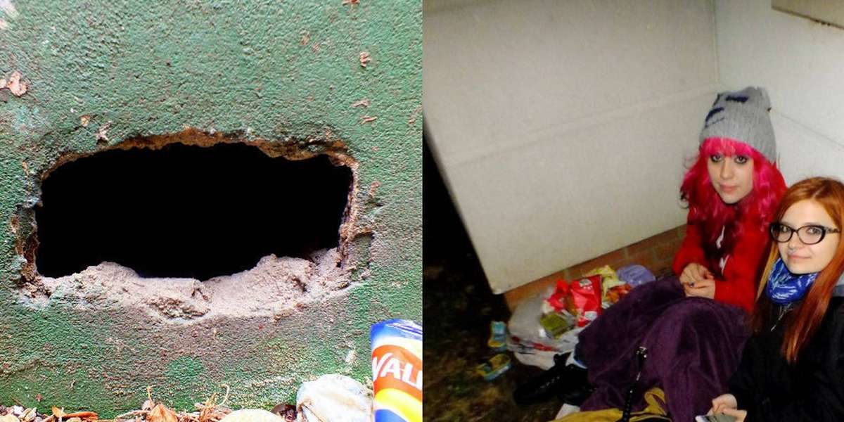 Rescuers Wait For 8 Nights To Rescue Entire Kitten Family - The Dodo
