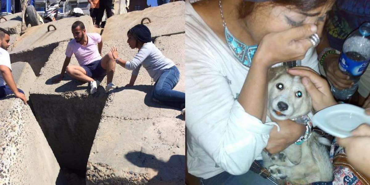 Puppy Was Trapped Under Rocks For A Month Before Help Finally Came ...