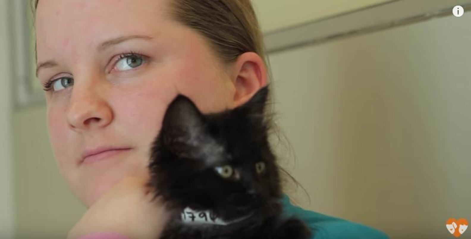 Woman With Autism Only Speaks When She's Around Black Cats - The Dodo