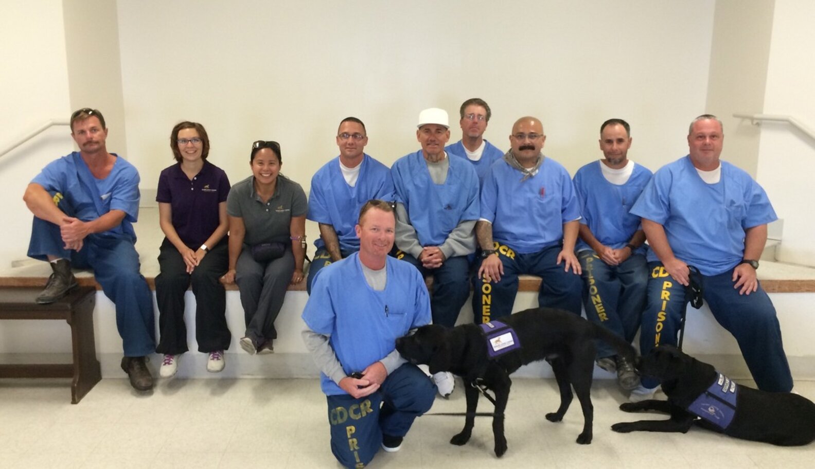 Prisoners Are Training Puppies To Be Service Dogs - The Dodo