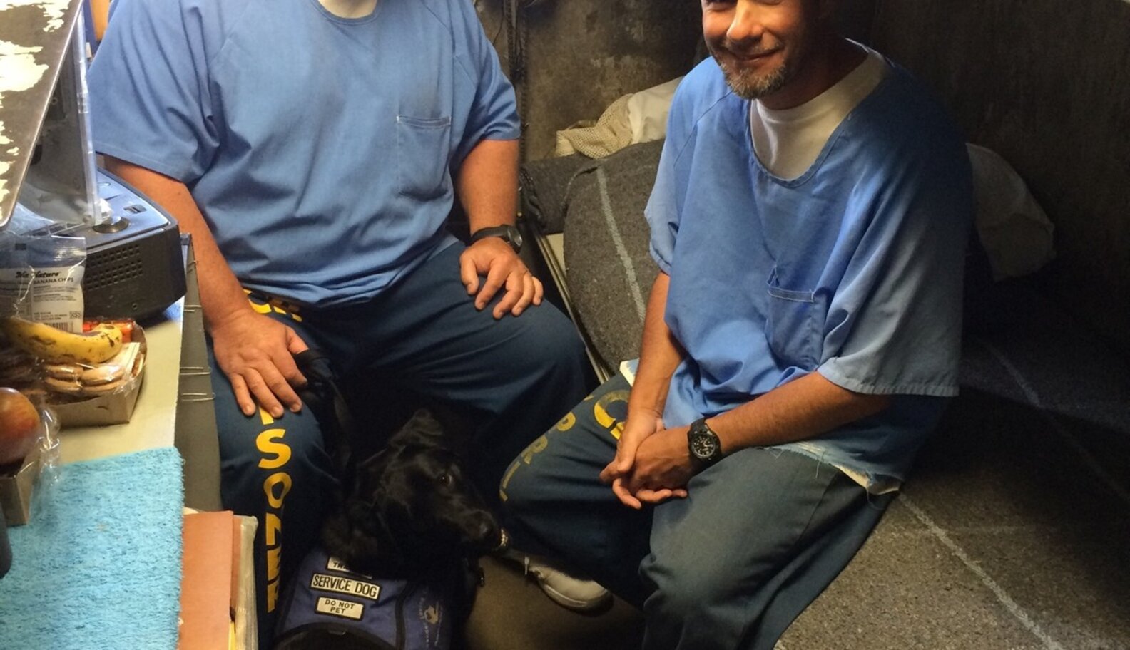 Prisoners Are Training Puppies To Be Service Dogs - The Dodo