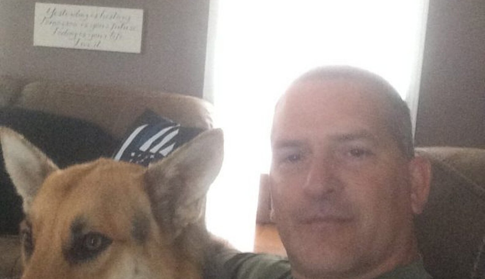 Cop Honors His K9 Partner By Fostering A Shelter Dog - The Dodo