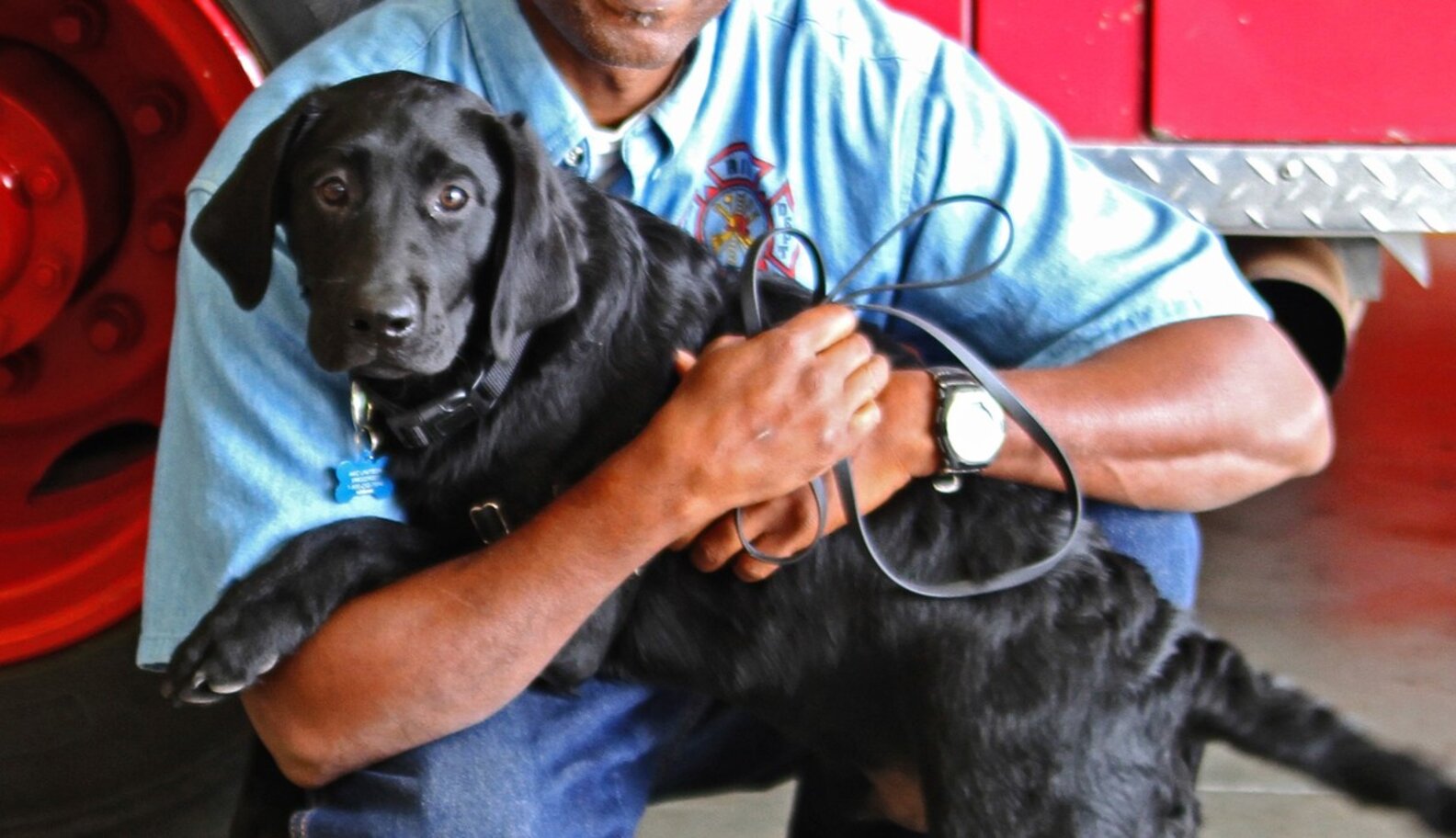 Prisoners Are Training Puppies To Be Service Dogs - The Dodo