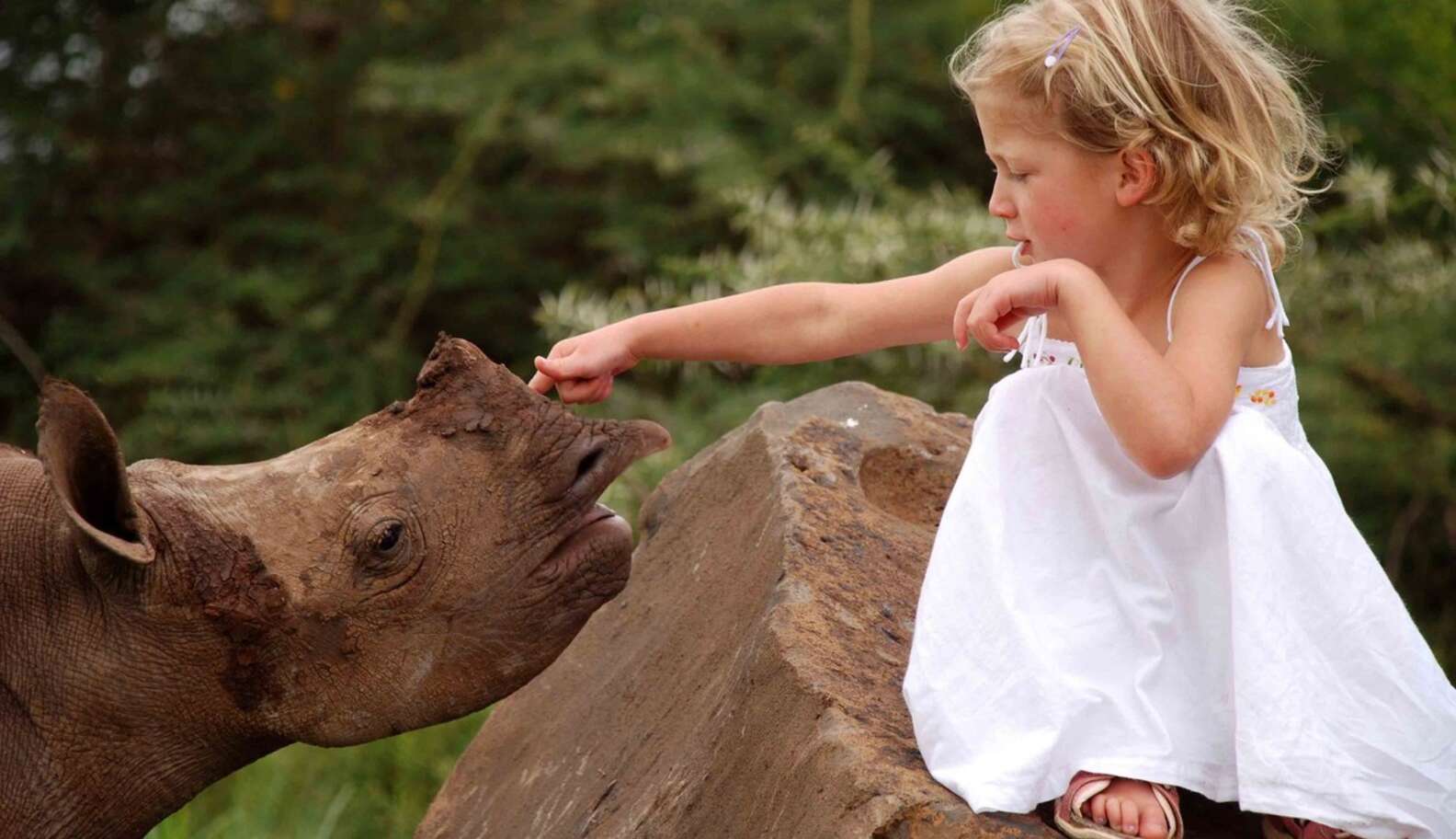 Little Girl Who Wanted A Puppy Gets A Baby Rhino Instead - The Dodo