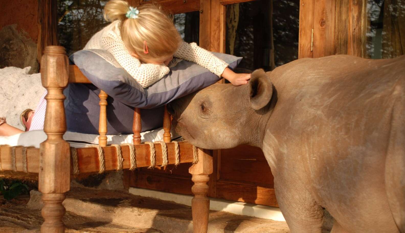 Little Girl Who Wanted A Puppy Gets A Baby Rhino Instead - The Dodo