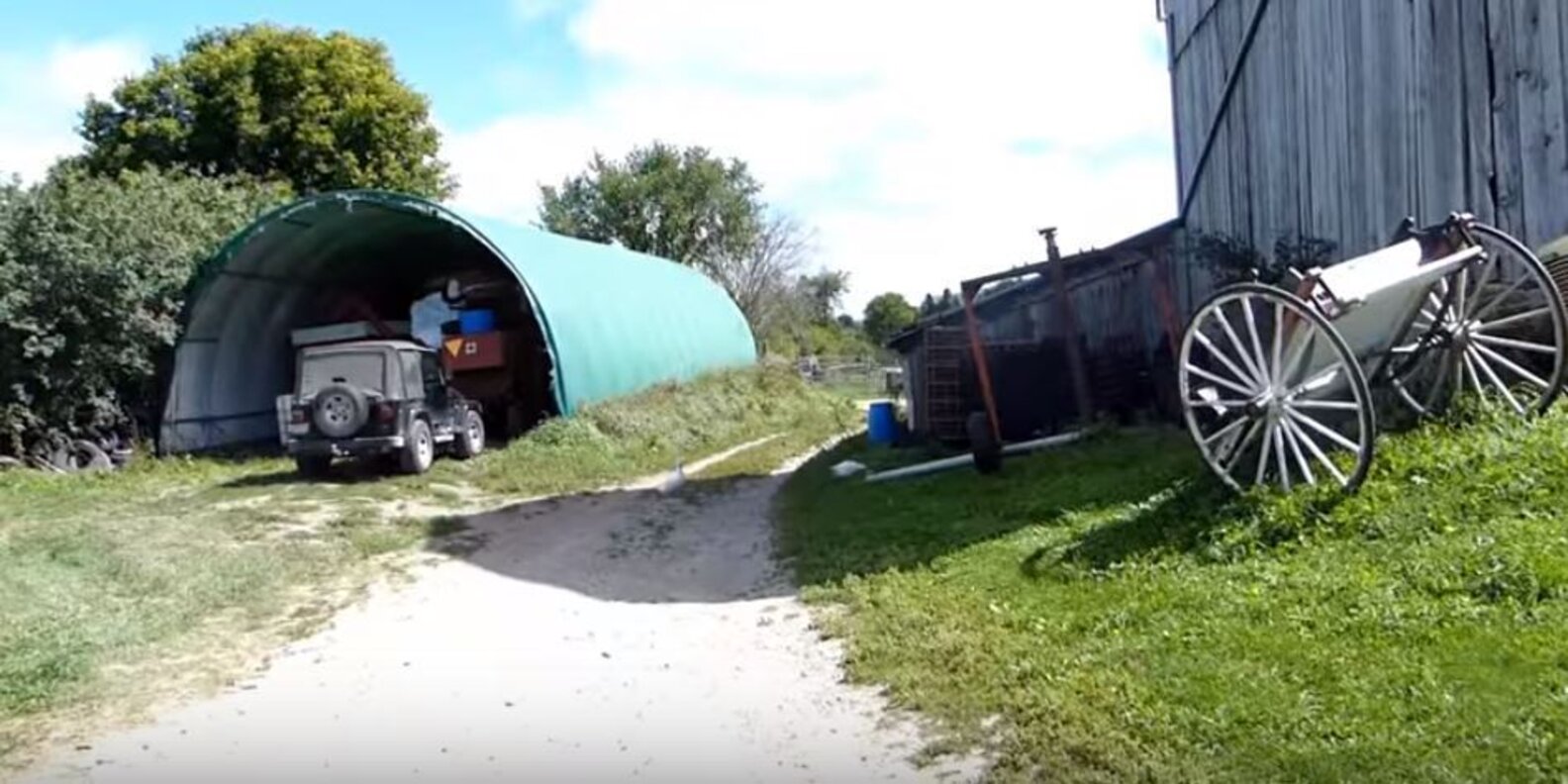 Man Who Raised Animals For Meat Turns His Farm Into A Sanctuary - The Dodo