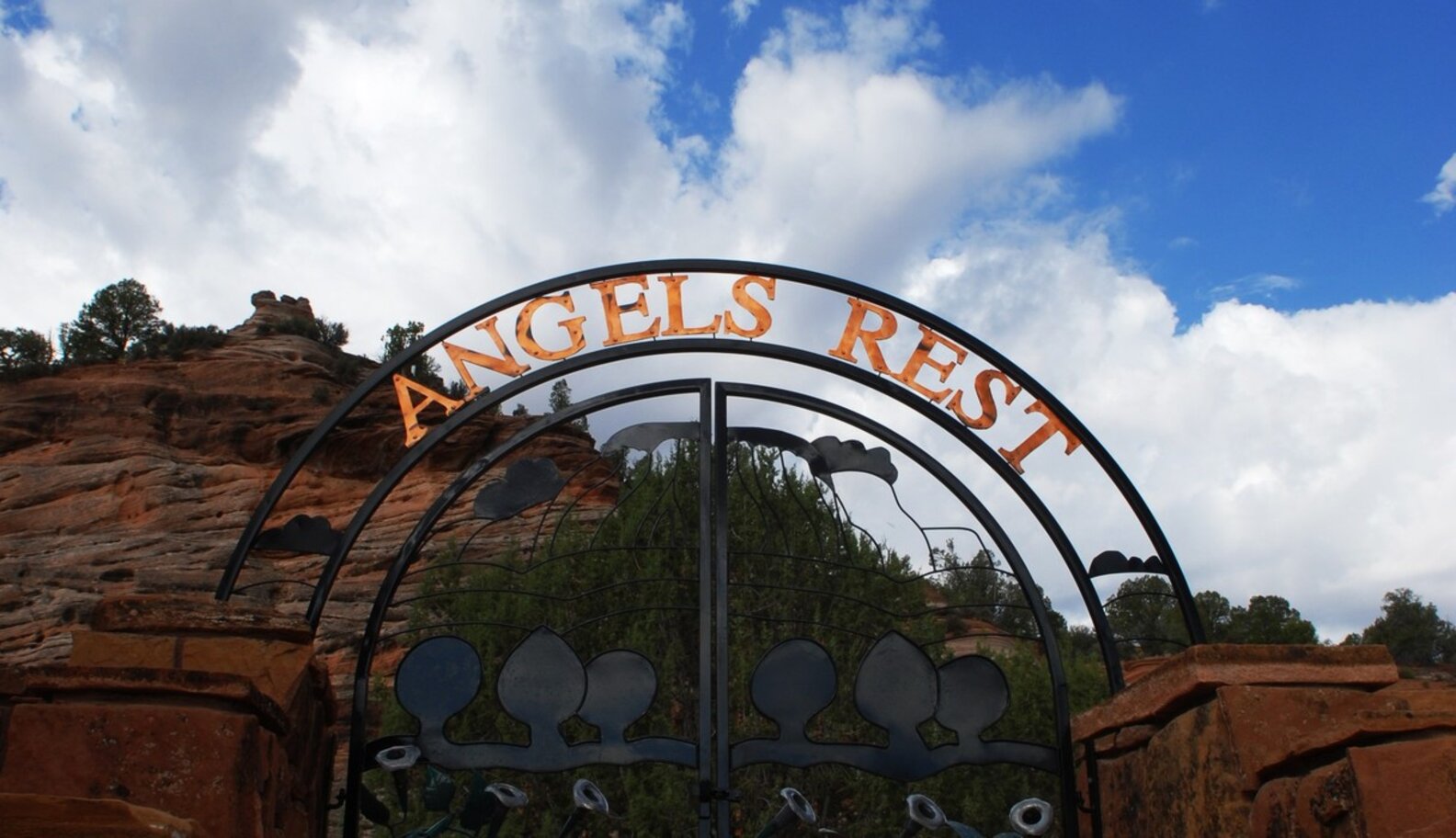 Beautiful Ceremony Honors Pets Who Will Never Be Forgotten - The Dodo