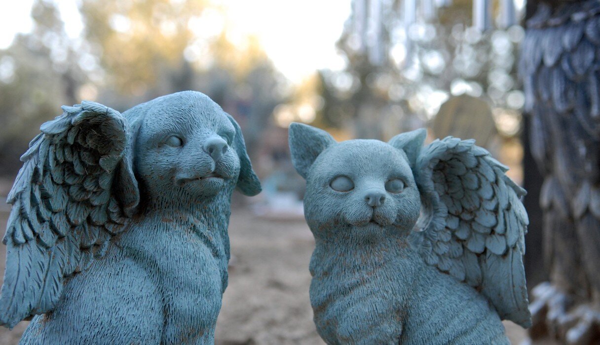 Beautiful Ceremony Honors Pets Who Will Never Be Forgotten - The Dodo