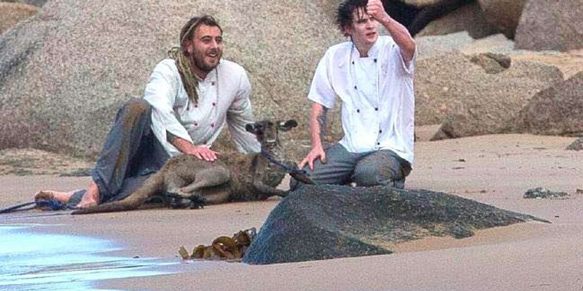 Chefs See Scared Kangaroo In Freezing Ocean And Dive Right In - The Dodo