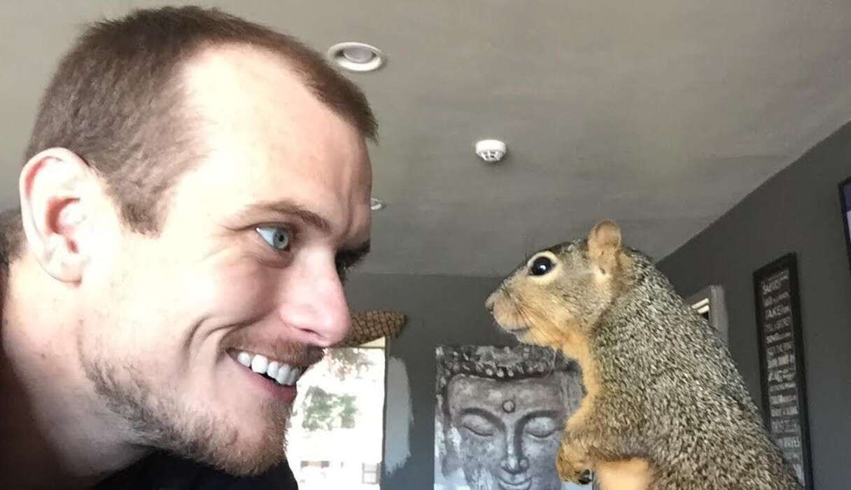 Evil Squirrel With Gun