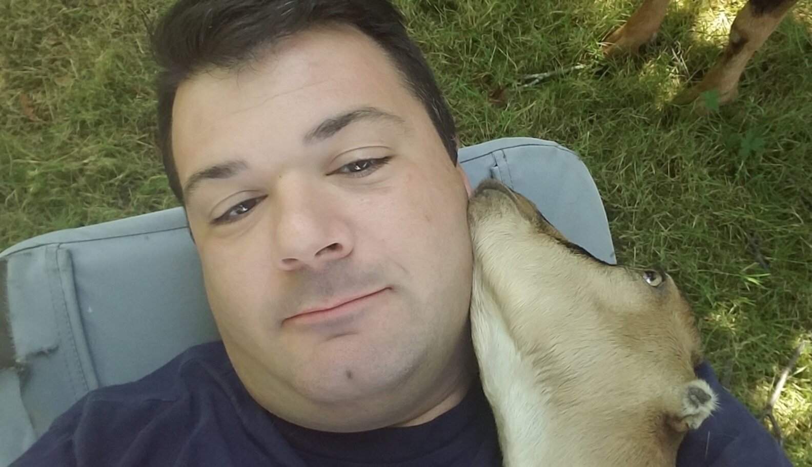 These Goats Are Completely Obsessed With The Guy Who Rescued Them - The ...