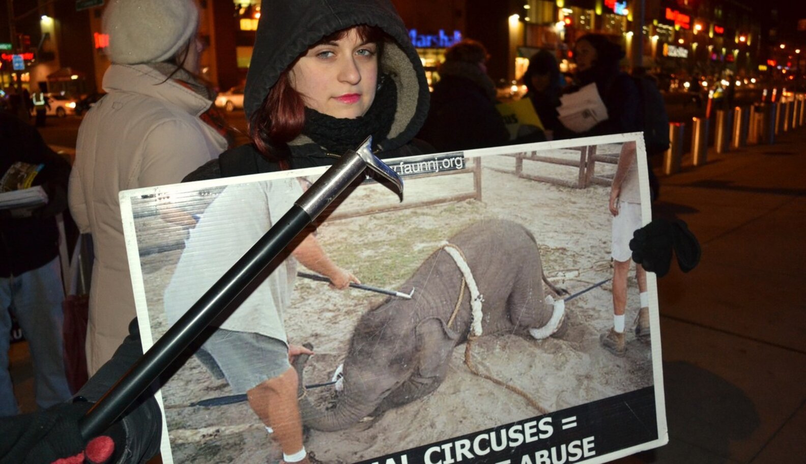 12-Year-Old Leads Protests Against Ringling Bros. Circus In Brooklyn ...