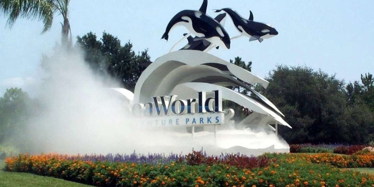 SeaWorld Stock Plunges As Blackfish Backlash Takes Hold - The Dodo