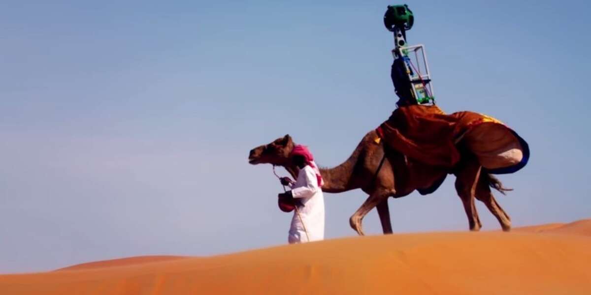 Google Unveils First-Ever 'Street View' Taken By An Animal - The Dodo