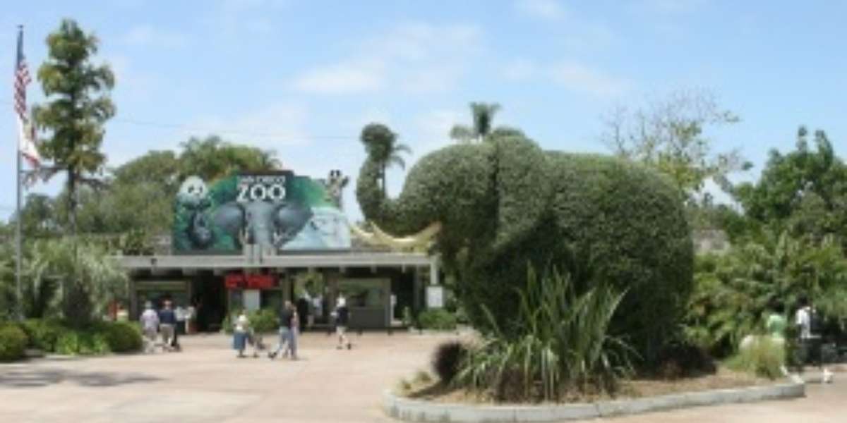 Why We Need to Protect Zoos and Aquariums - The Dodo