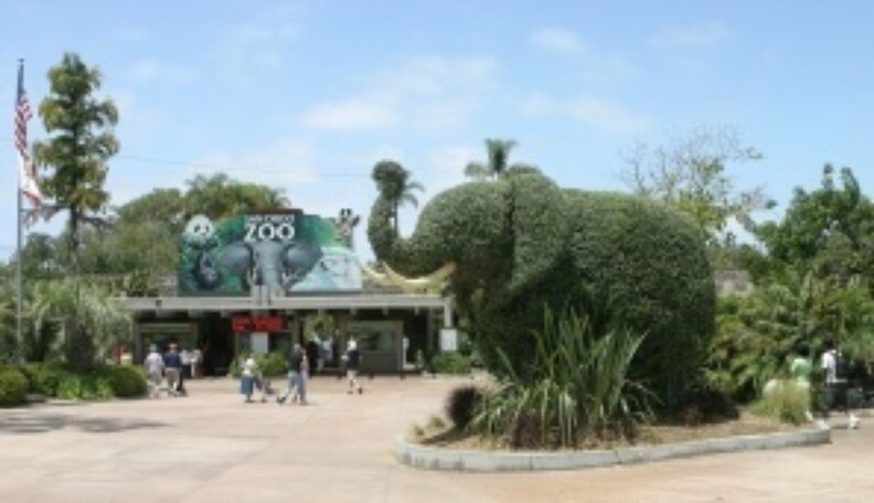 Why We Need to Protect Zoos and Aquariums - The Dodo