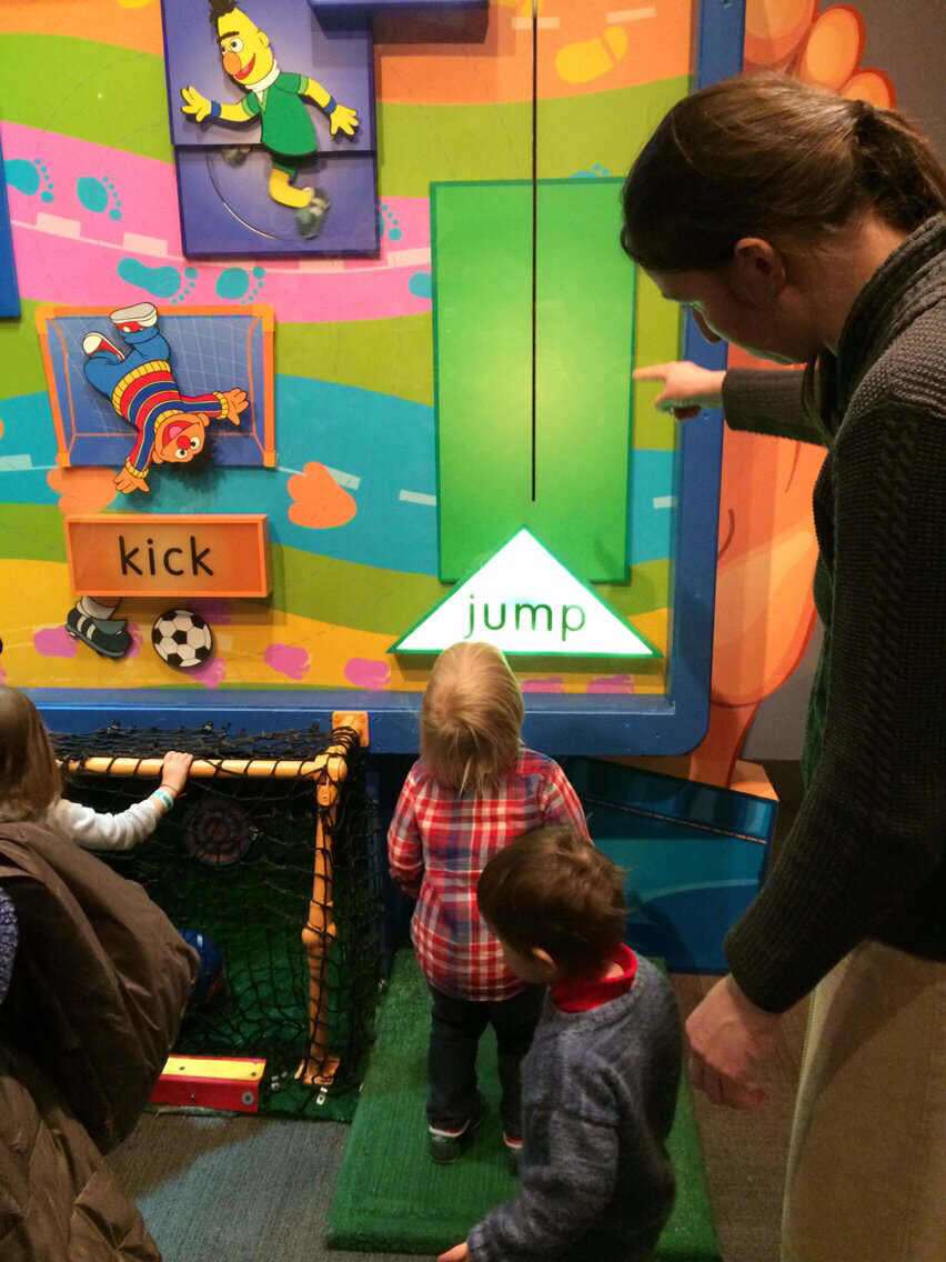 [Untitled] - The Dodo