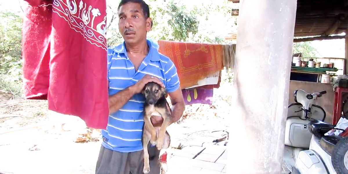 Dog Run Over By Motorcycle Gets Help From Nicest Strangers - Videos ...