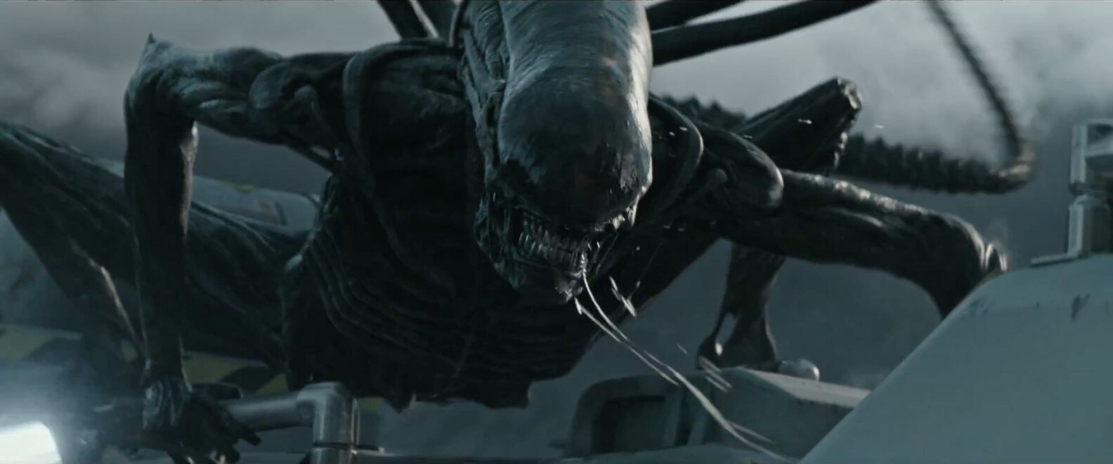 Alien Covenant, Explained: Ending, Spoilers, Theories & Questions ...