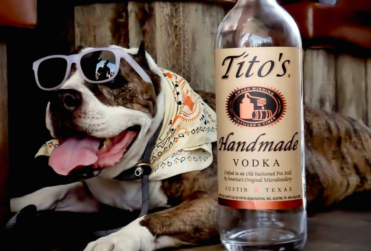 What Happens If Dog Drinks Vodka