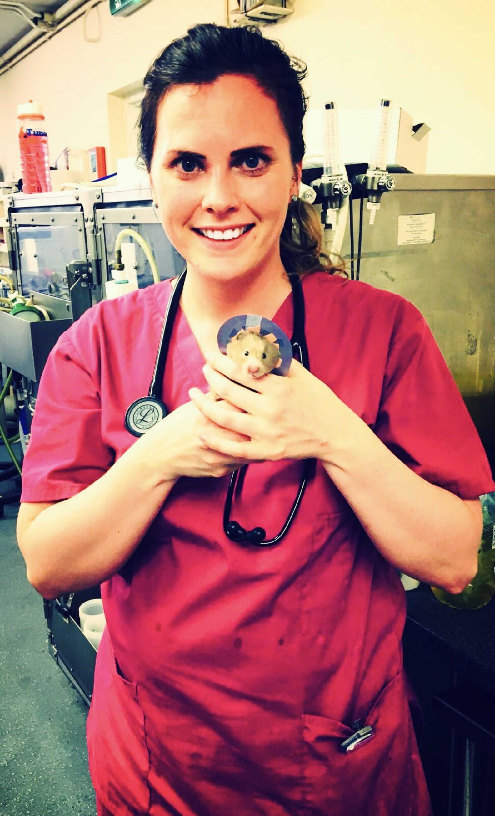 Vet Makes Tiny 'Cone Of Shame' For Hamster Who Had Surgery - The Dodo