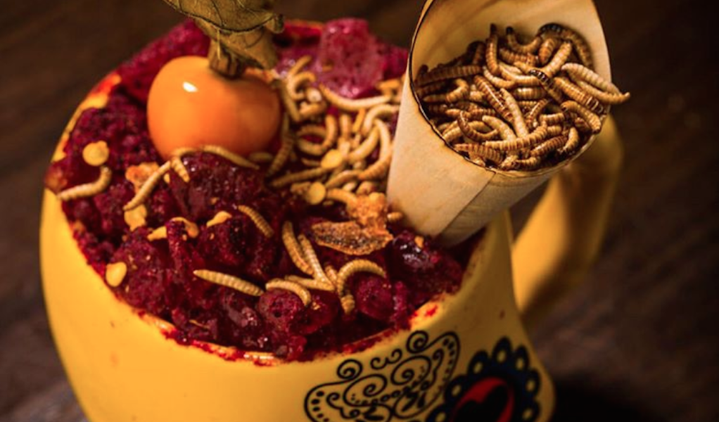 Bug Cocktails: Worm Cocktails and Ant Drinks For Brave Souls - Thrillist