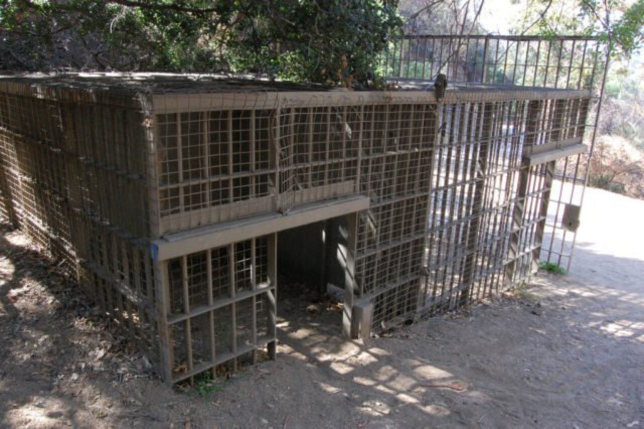 Haunting Photos Show How Zoo Looked Decades Ago - The Dodo