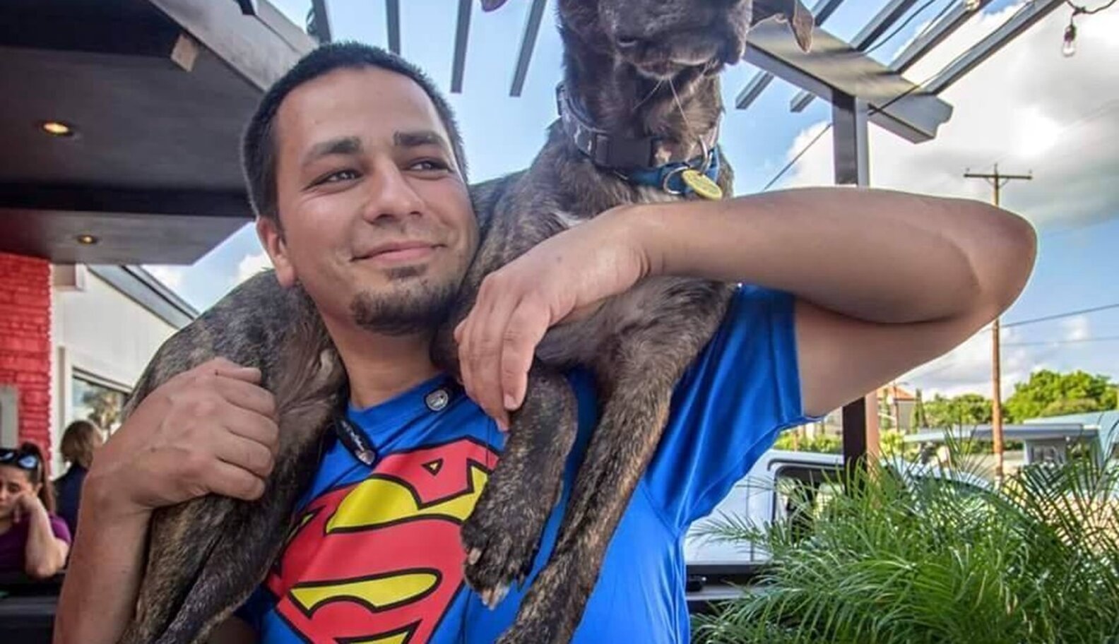 Photos Of Dog Dads Who Are Completely In Love - The Dodo
