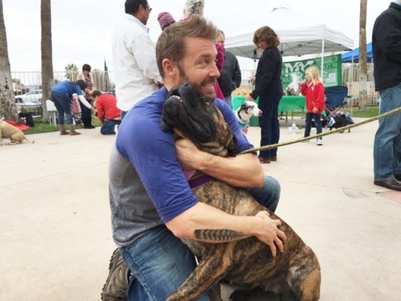 Photos Of Dog Dads Who Are Completely In Love - The Dodo