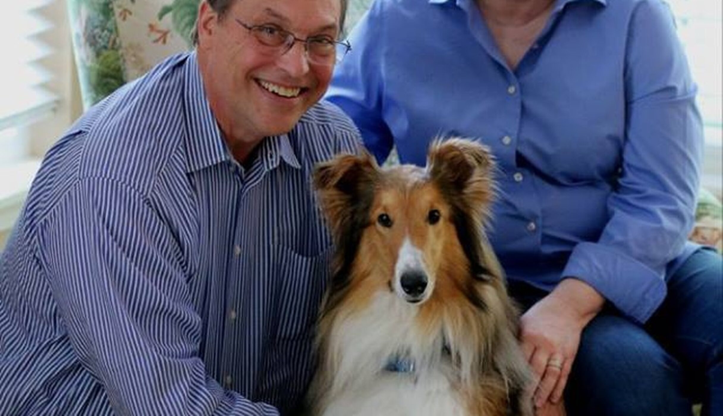 Homeless Dog Was So Matted He Couldn’t Even Move His Legs - The Dodo