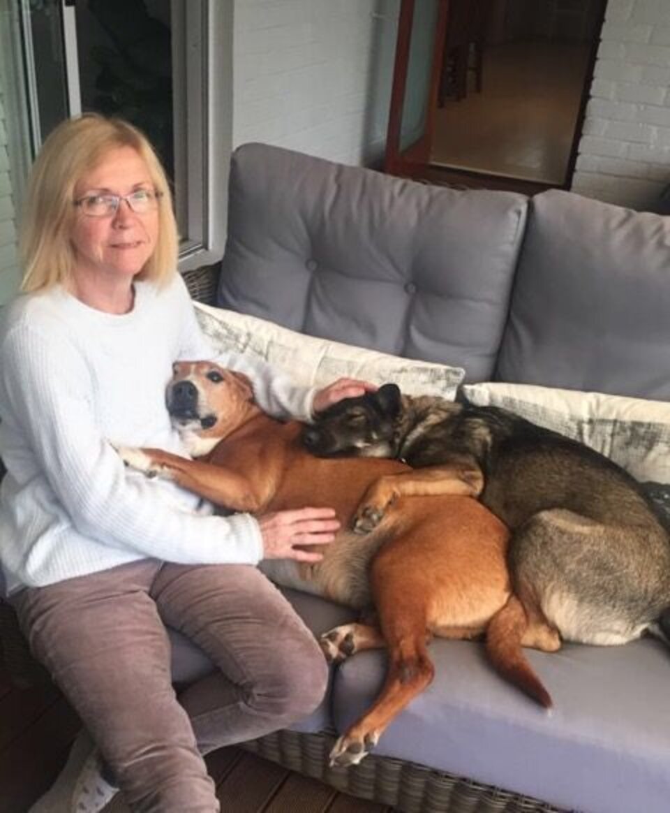 Dogs With Sad Pasts Are Finally Reunited - The Dodo