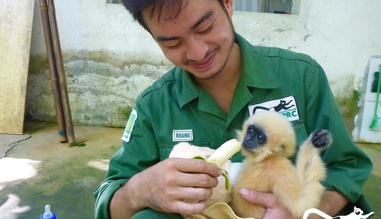 Baby Ape Who Lost Her Family Gets A Brand-New Dad - The Dodo