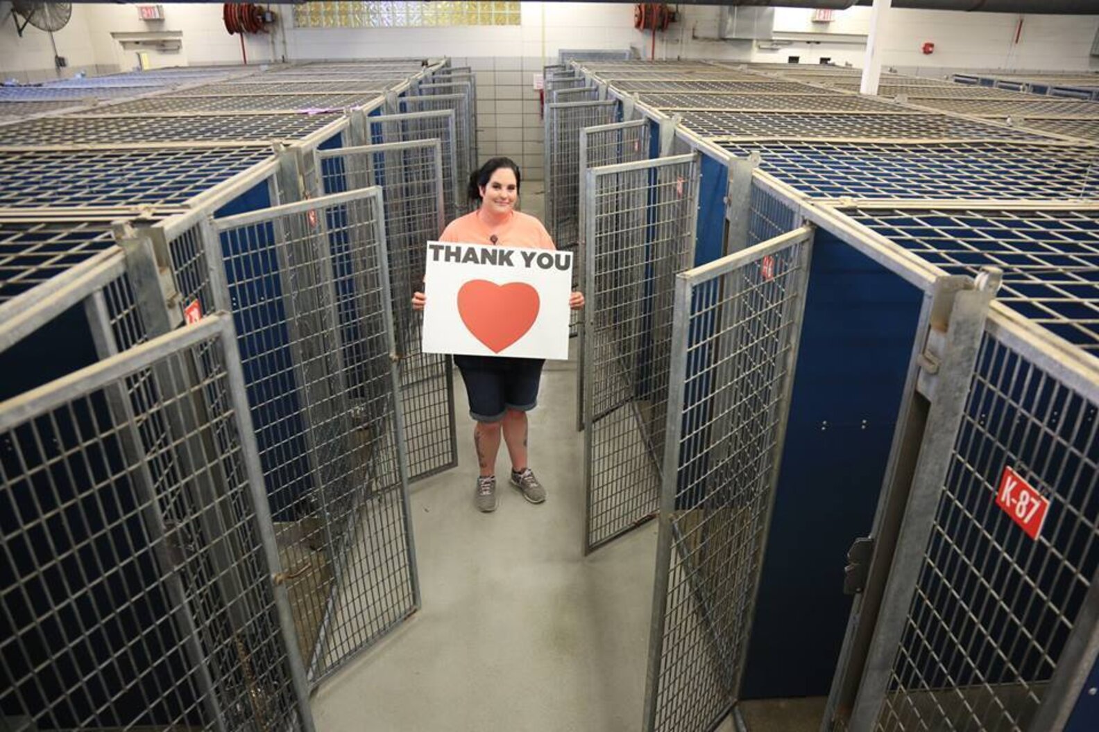 Happiest Shelter Photo Shows Dozens Of Empty Cages - The Dodo