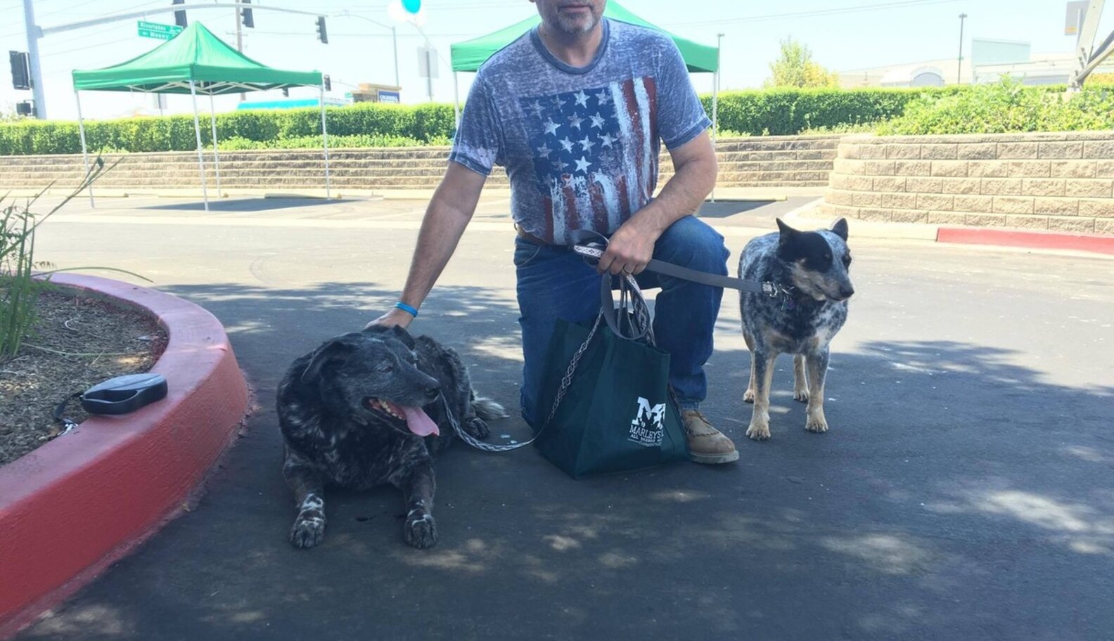 Dog Was So Traumatized He Growled At The Man Trying To Save Him - The Dodo